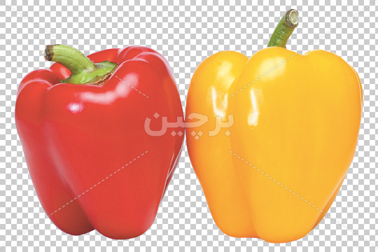 عکس Png انواع فلفل دلمه ای بُرچین تصاویر دوربری شده، فایل های آماده