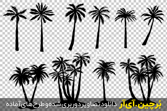 مجموعه وکتور درختان نخل و خرما | بُرچین – تصاویر دوربری شده، فایل های ...