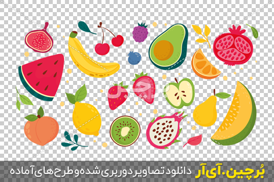 وکتور باکیفیت میوه های تابستانی | بُرچین – تصاویر دوربری شده، فایل های ...