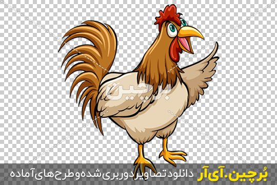 طرح با کیفیت خروس Png دوربری بُرچین تصاویر دوربری شده، فایل های