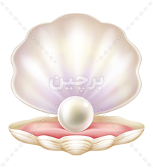 طرح زیبای مروارید درون صدف png | بُرچین – تصاویر دوربری شده، فایل های ...
