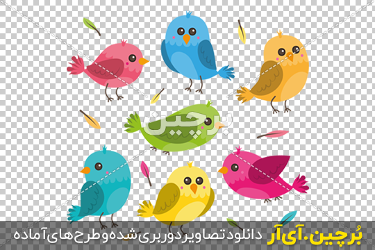 عکس گنجشک های رنگی Png بُرچین تصاویر دوربری شده، فایل های آماده