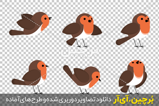 وکتور Png باکیفیت گنجشک بُرچین تصاویر دوربری شده، فایل های آماده