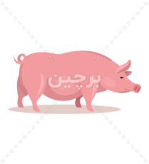 عکس کارتونی خوک صورتی png | بُرچین – تصاویر دوربری شده، فایل های آماده ...