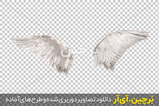 بال های باز شده پرنده سفید png | بُرچین – تصاویر دوربری شده، فایل های ...