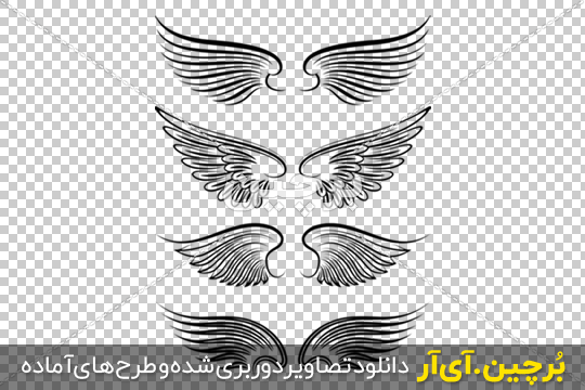 وکتور سیاه و سفید بال فرشته | بُرچین – تصاویر دوربری شده، فایل های ...