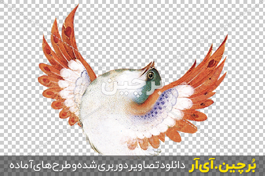 عکس png پرندگان درون طرح های ایرانی و اسلیمی | بُرچین – تصاویر دوربری ...