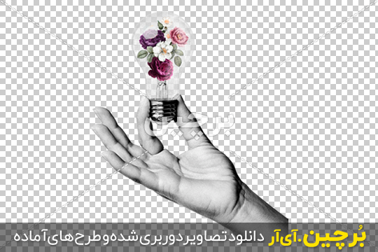عکس Png لامپ حبابی حاوی گل در دست بُرچین تصاویر دوربری شده، فایل