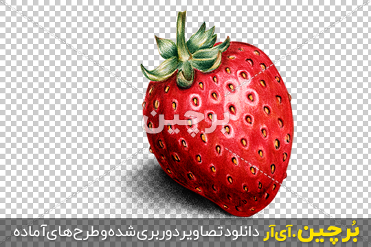 دانلود تصویر Png توت فرنگی طراحی شده با مدادرنگی بُرچین تصاویر