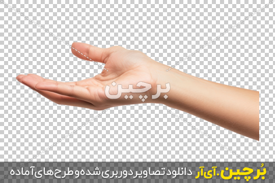 دانلود عکس Png دست انسان بُرچین تصاویر دوربری شده، فایل های آماده